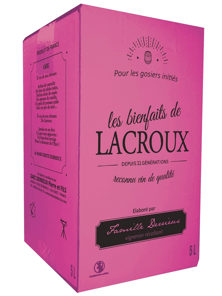 Cartons Bib Bag in Box à personnaliser 5L Flexo - Carrés - Garaud Ets